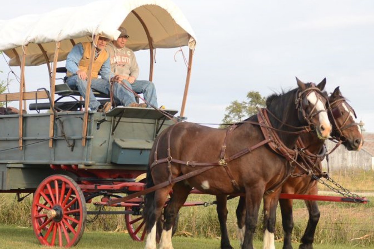 Parshas Vayigash: “Hold your Horses” on Those Wagons! | JEP Queens